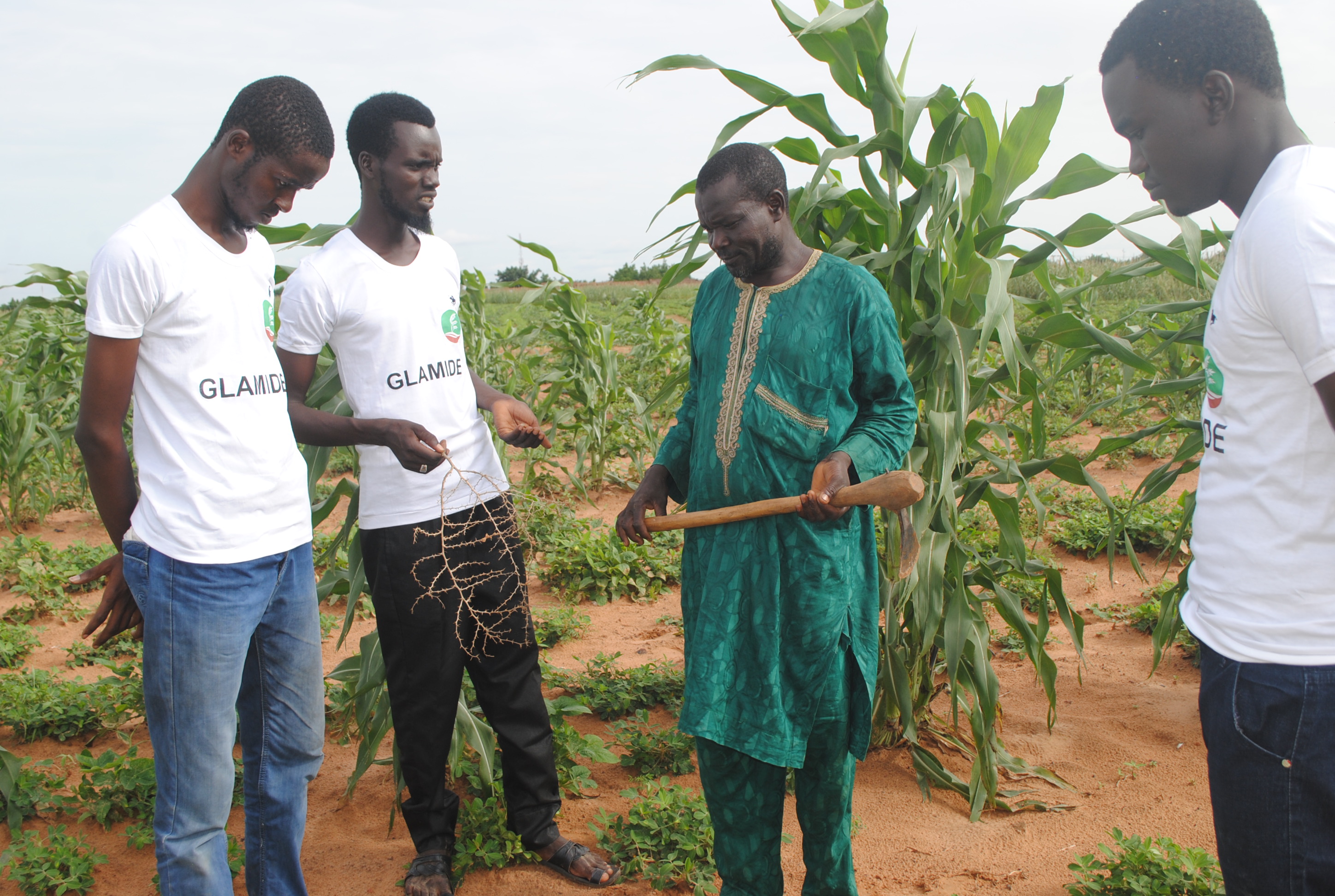 Glamide Limited – Digitalizing The Agricultural Ecosystem